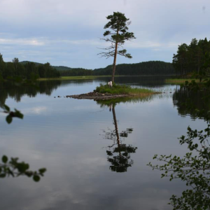 Integral Transformative Practice Guide | Integral Transformative Practice